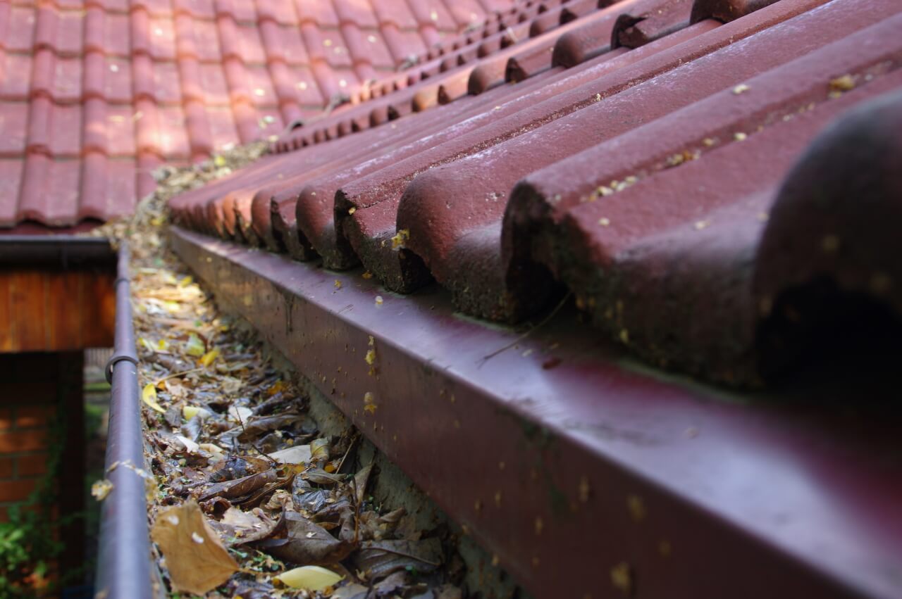 6 Hacks for Cleaning Your Gutters Like a Pro | Home Support Property ...